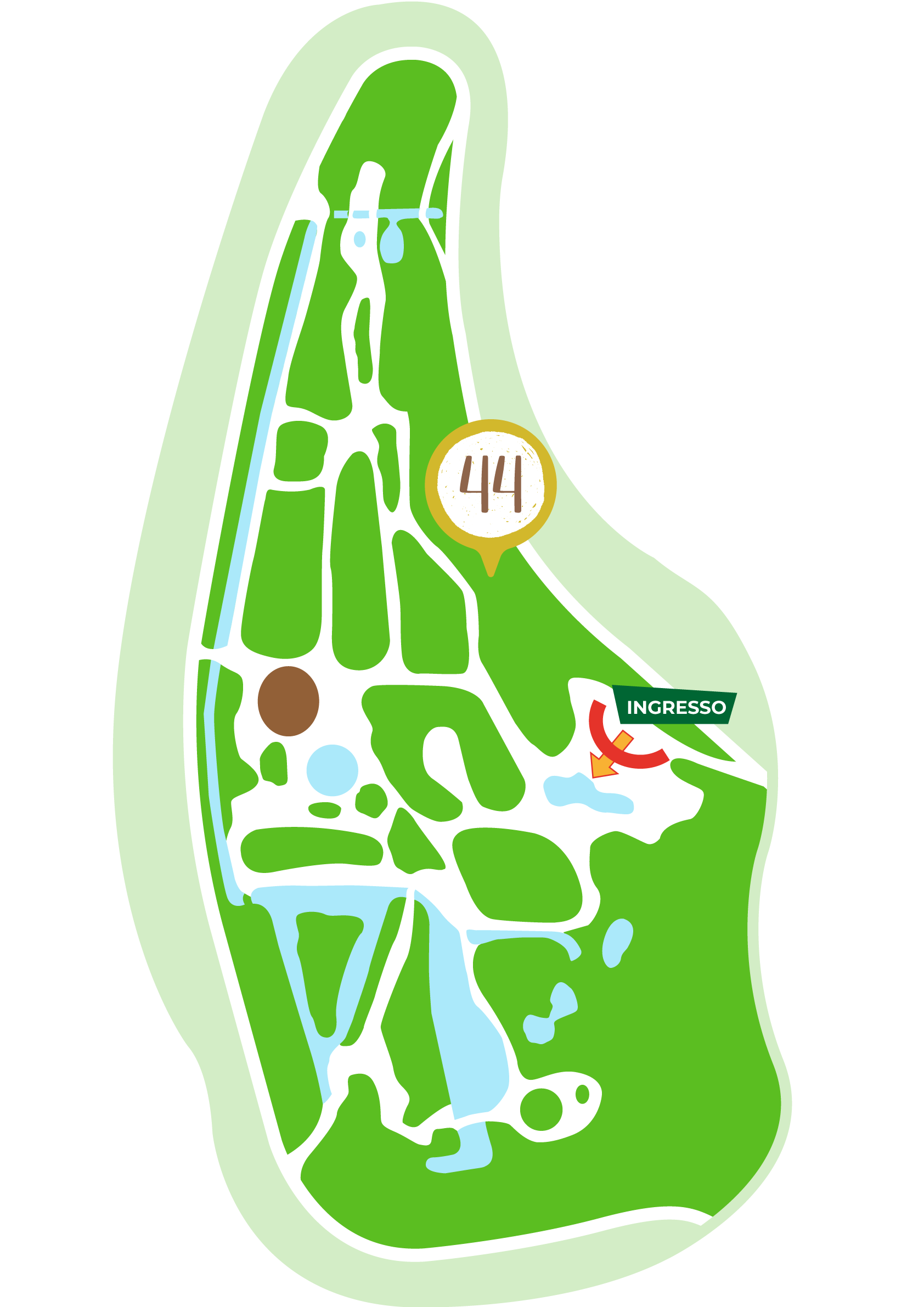 Canguro rosso – Parco Zoo Punta Verde