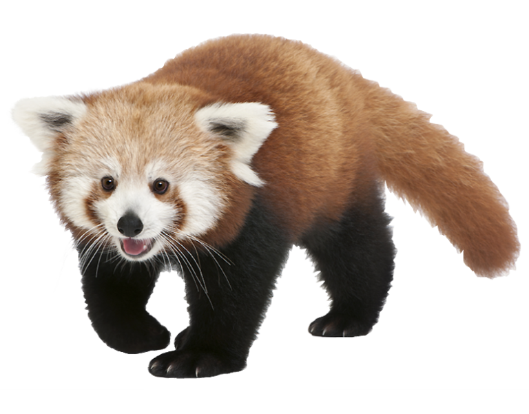 Tariffe – Parco Zoo Punta Verde